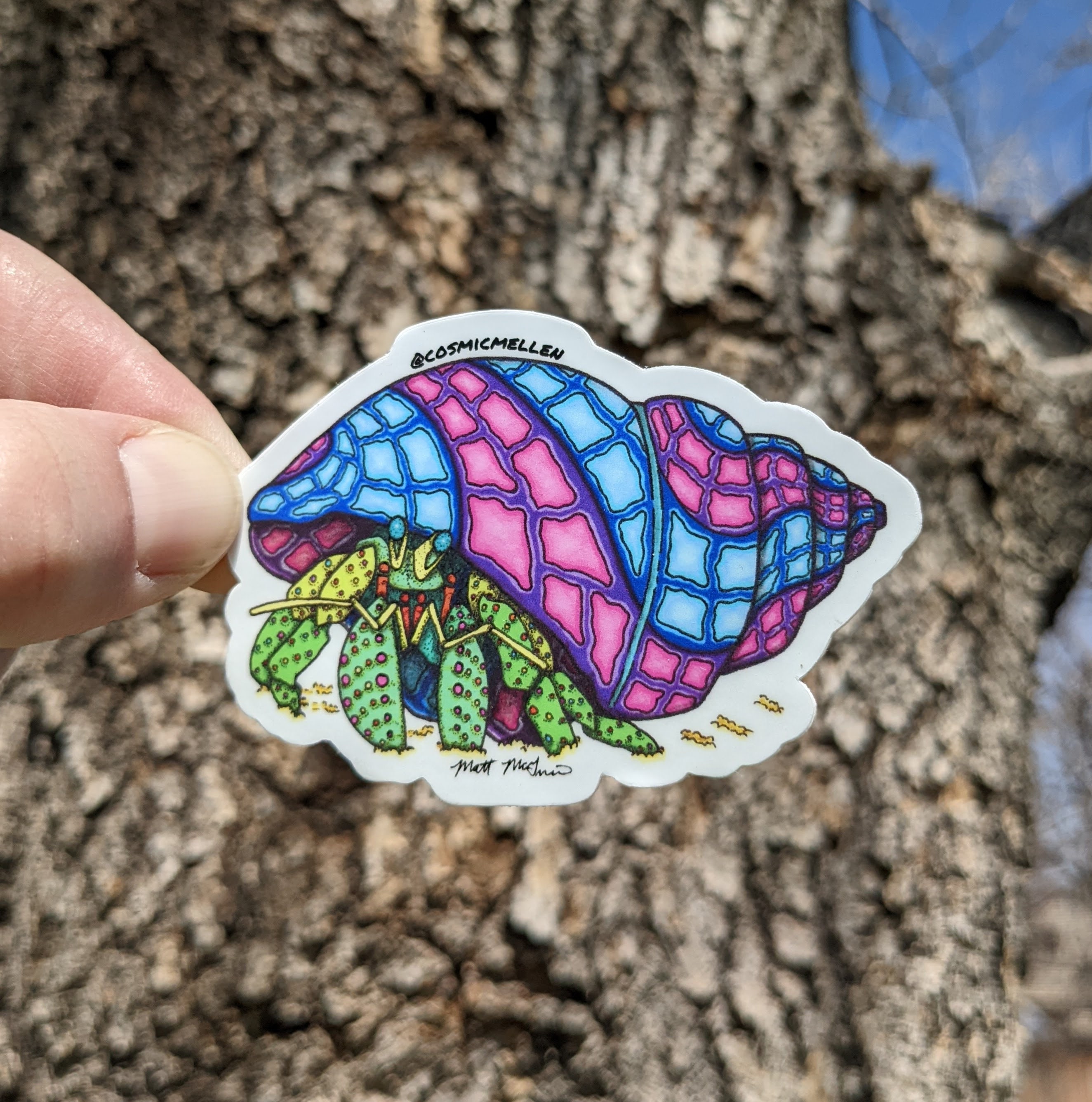 Sticker Hermit Crab Sticker Laptop Sticker Water Bottle - Etsy