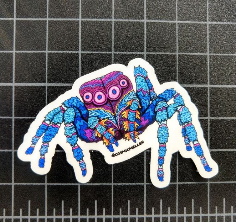 Spider Sticker Pack Trippy Sticker Spider Sticker Hydro | Etsy