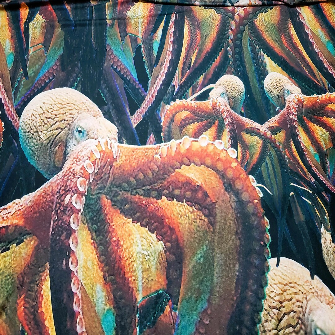 NEW Octopus Print Spandex Fabric – Realistic Giant Octopi Design - Etsy