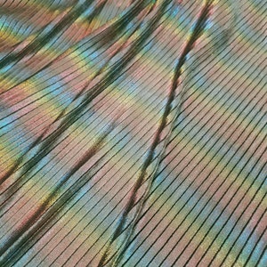 Rainbow Foil Stretch Velvet Fabric, Apparel Sewing, Sold by the Yard - Etsy