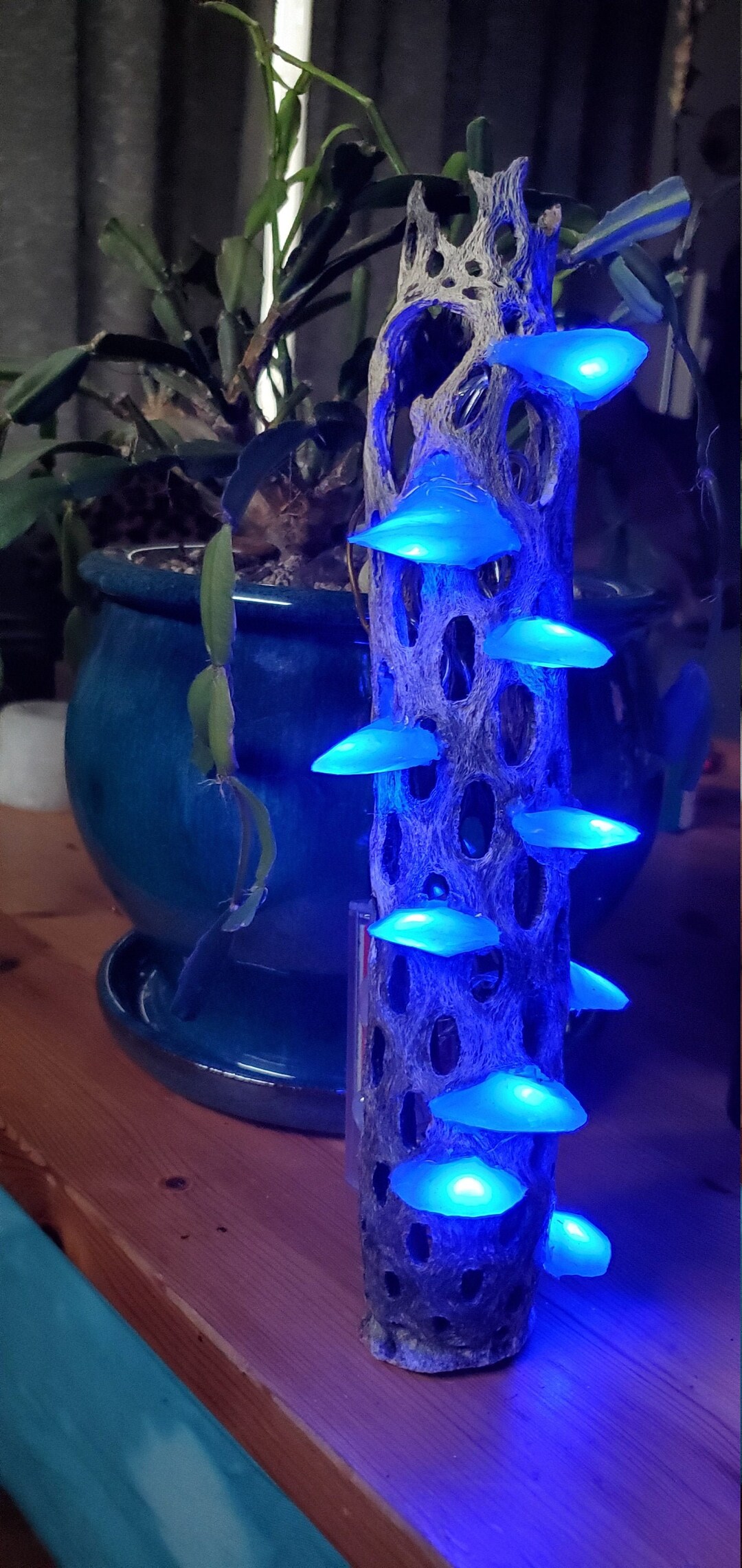 Handmade Blue Wall Hanging Cholla LED Mushroom Lamp 13-15 Tall - Etsy