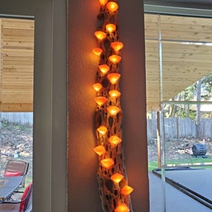 Handmade 18-20 Copper Wall Hanging Mushroom Cholla LED Lamp - Etsy