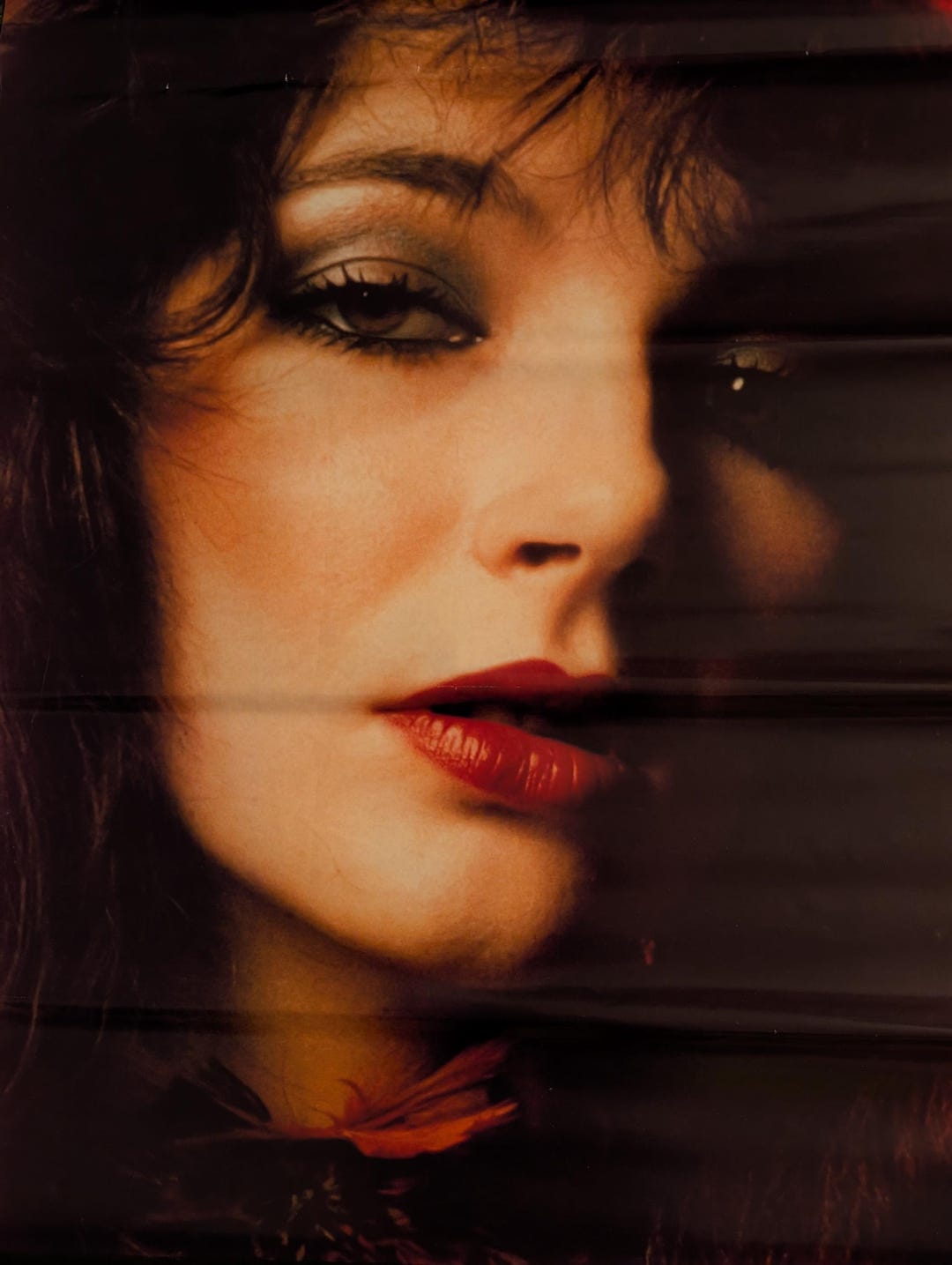 Vintage Poster - KATE BUSH - Etsy