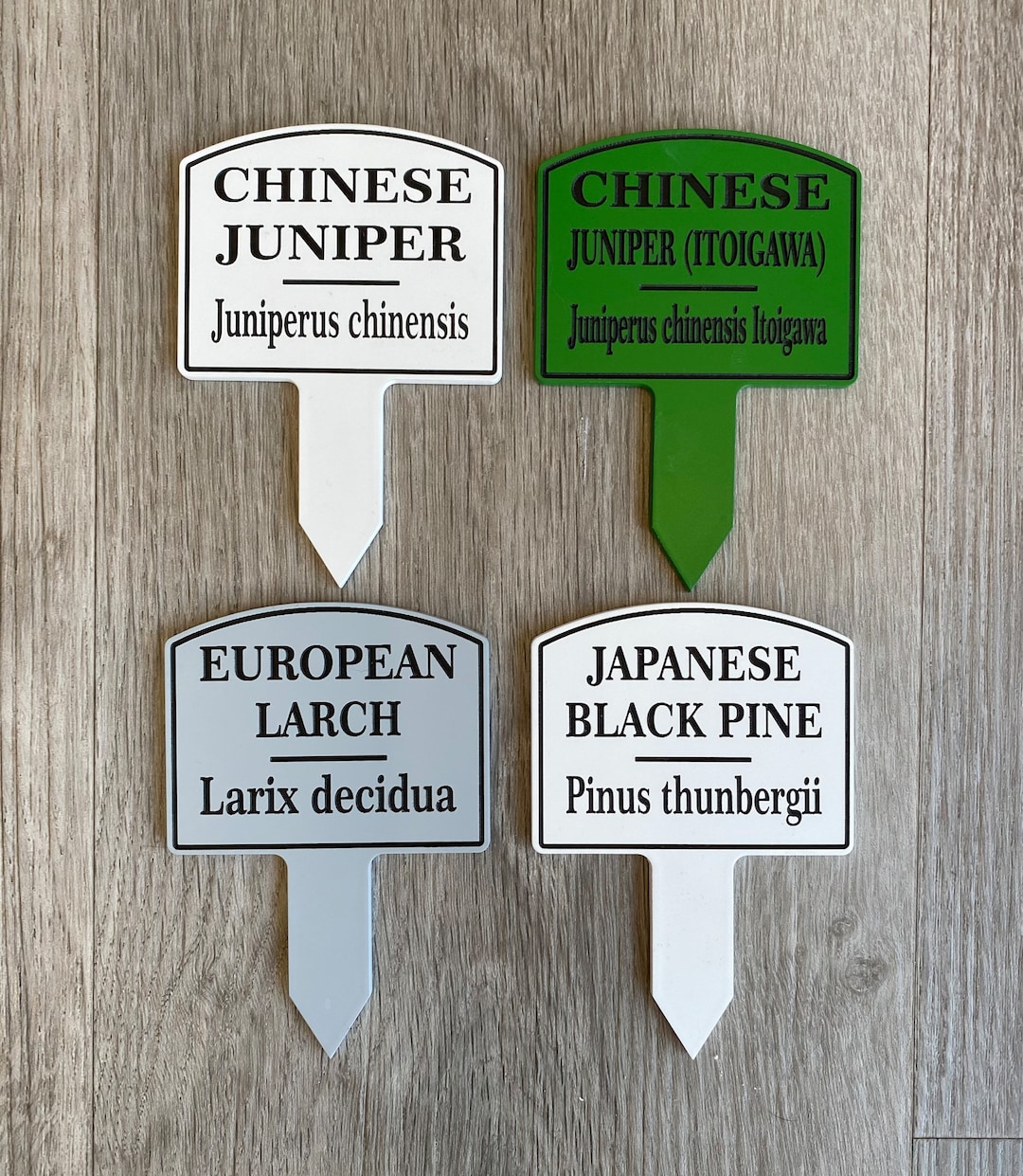 Bonsai Tree Tag | Bonsai Name Tags | Customised Plant Labels | Bonsai ...