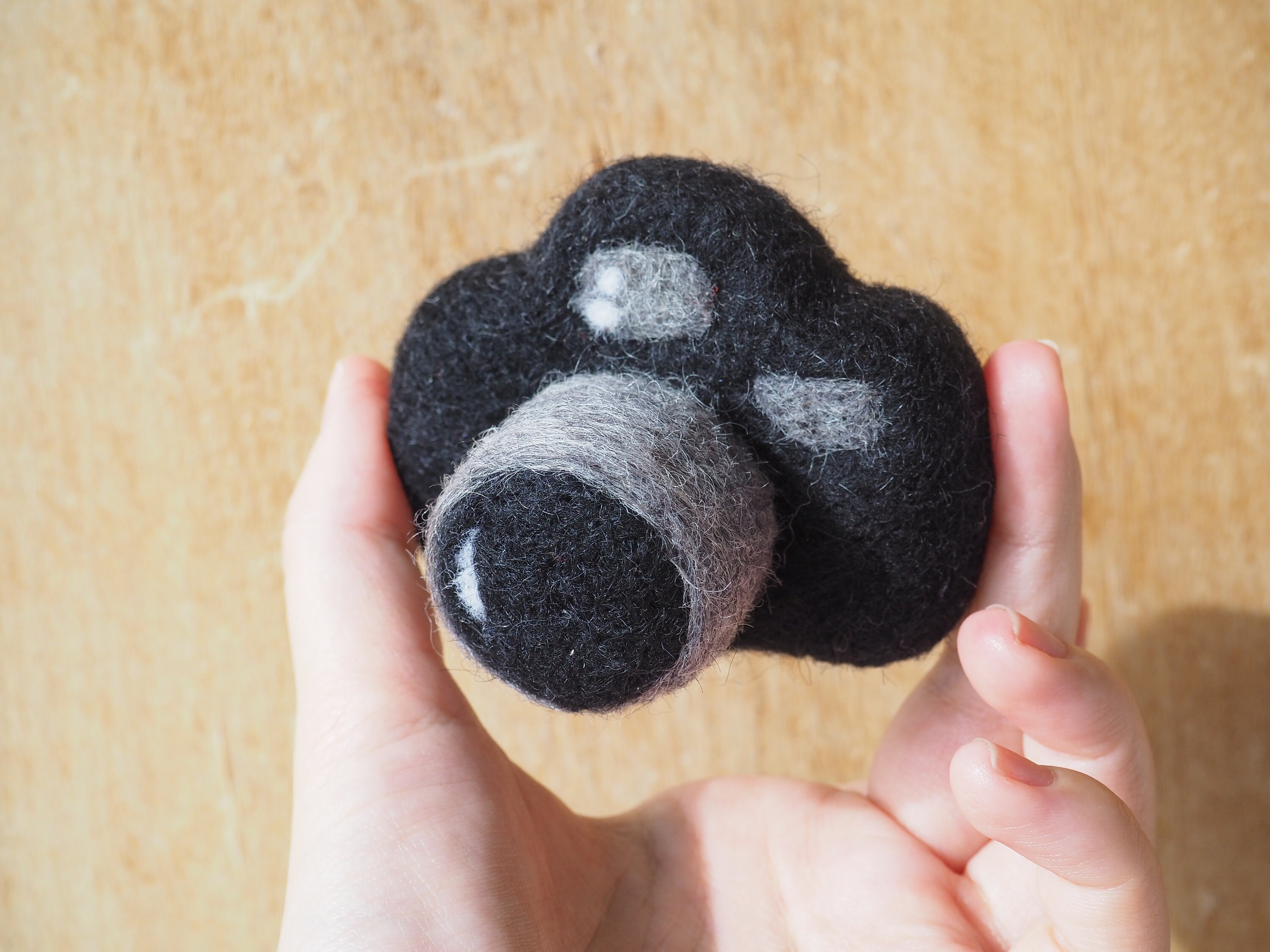 Camera Felted Prop Needle Felted Photo Atrezzo Felted - Etsy