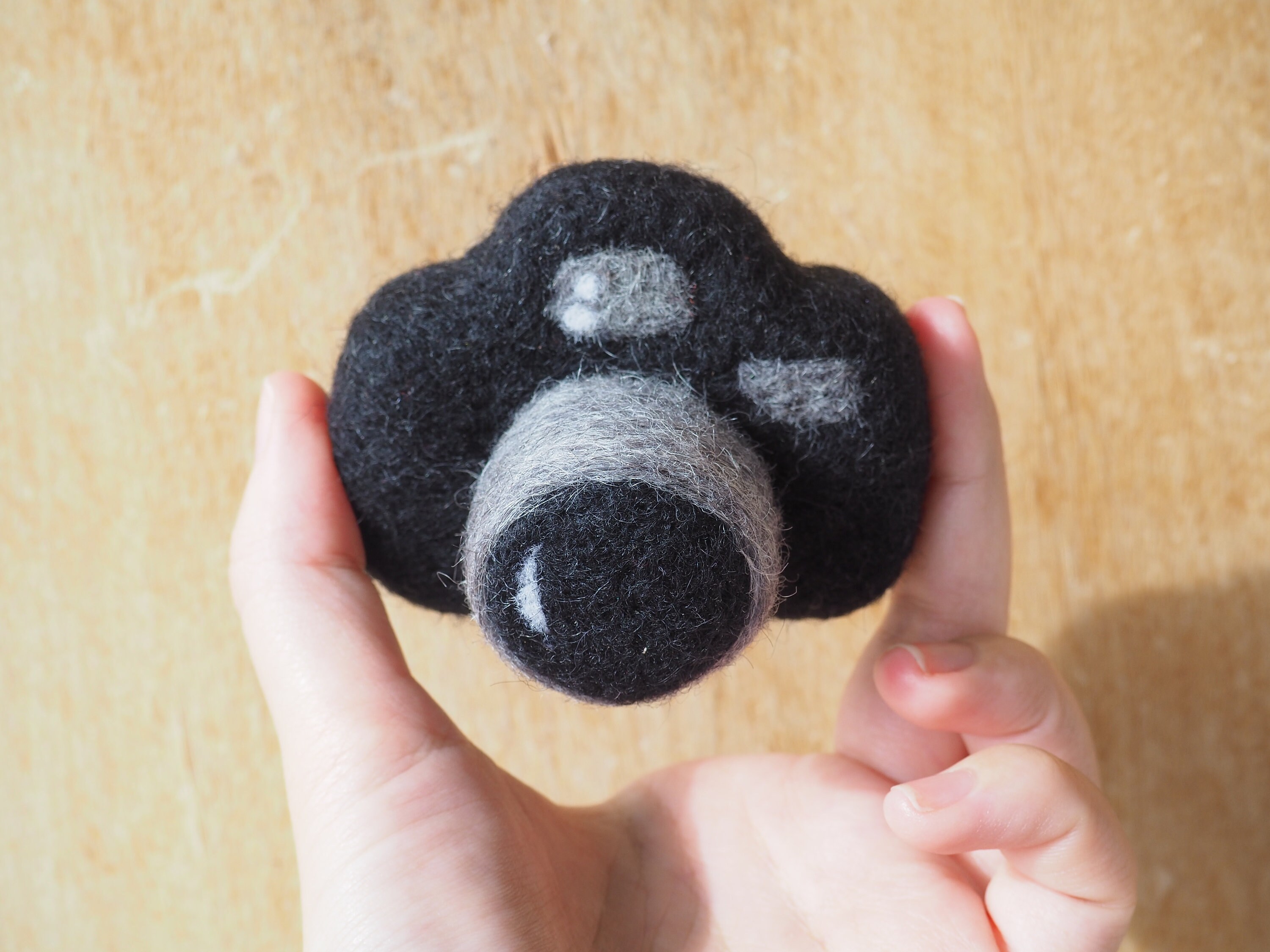 Camera Felted Prop Needle Felted Photo Atrezzo Felted | Etsy