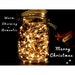 Fairy LED Copper Wire String Lights, Updated Version(warm White, 32.8ft ...