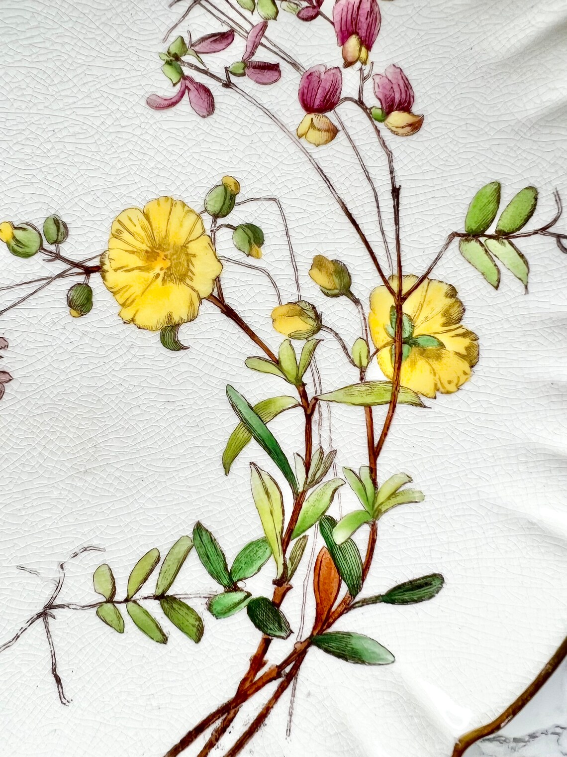 Set of 2 Antique Minton Plates Hand Painted Scalloped Edge Bird Vegetal ...