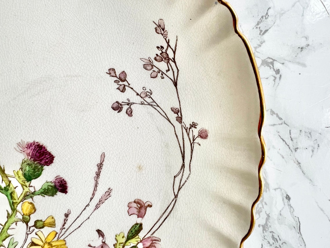 Set of 2 Antique Minton Plates Hand Painted Scalloped Edge Bird Vegetal ...