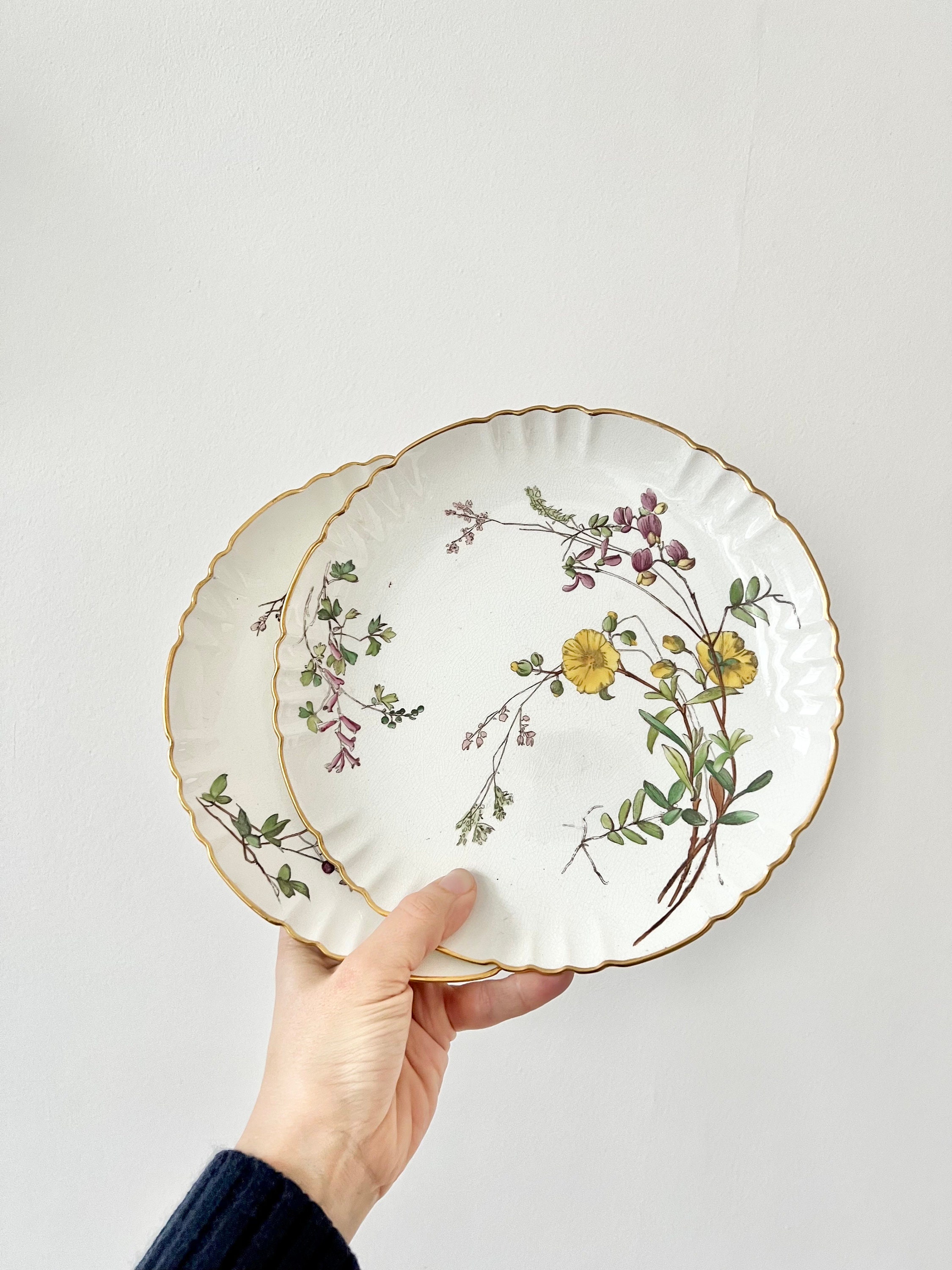 Set of 2 Antique Minton Plates Hand Painted Scalloped Edge Bird Vegetal ...