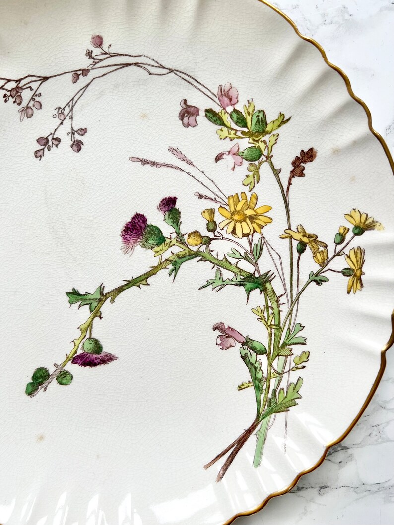 Set of 2 Antique Minton Plates Hand Painted Scalloped Edge Bird Vegetal ...