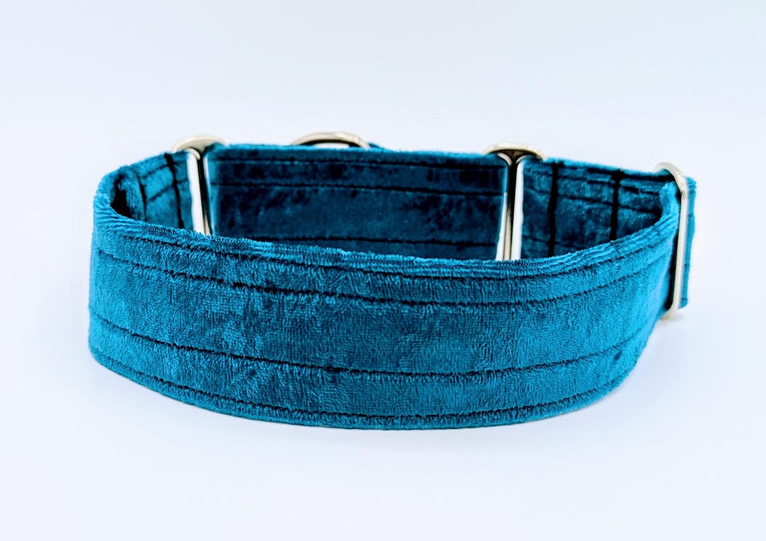 Lurcher Greyhound Saluki Whippet Martingale Dog Collar Teal Bluey Green ...