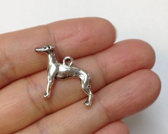 Greyhound Dog Breed - Etsy