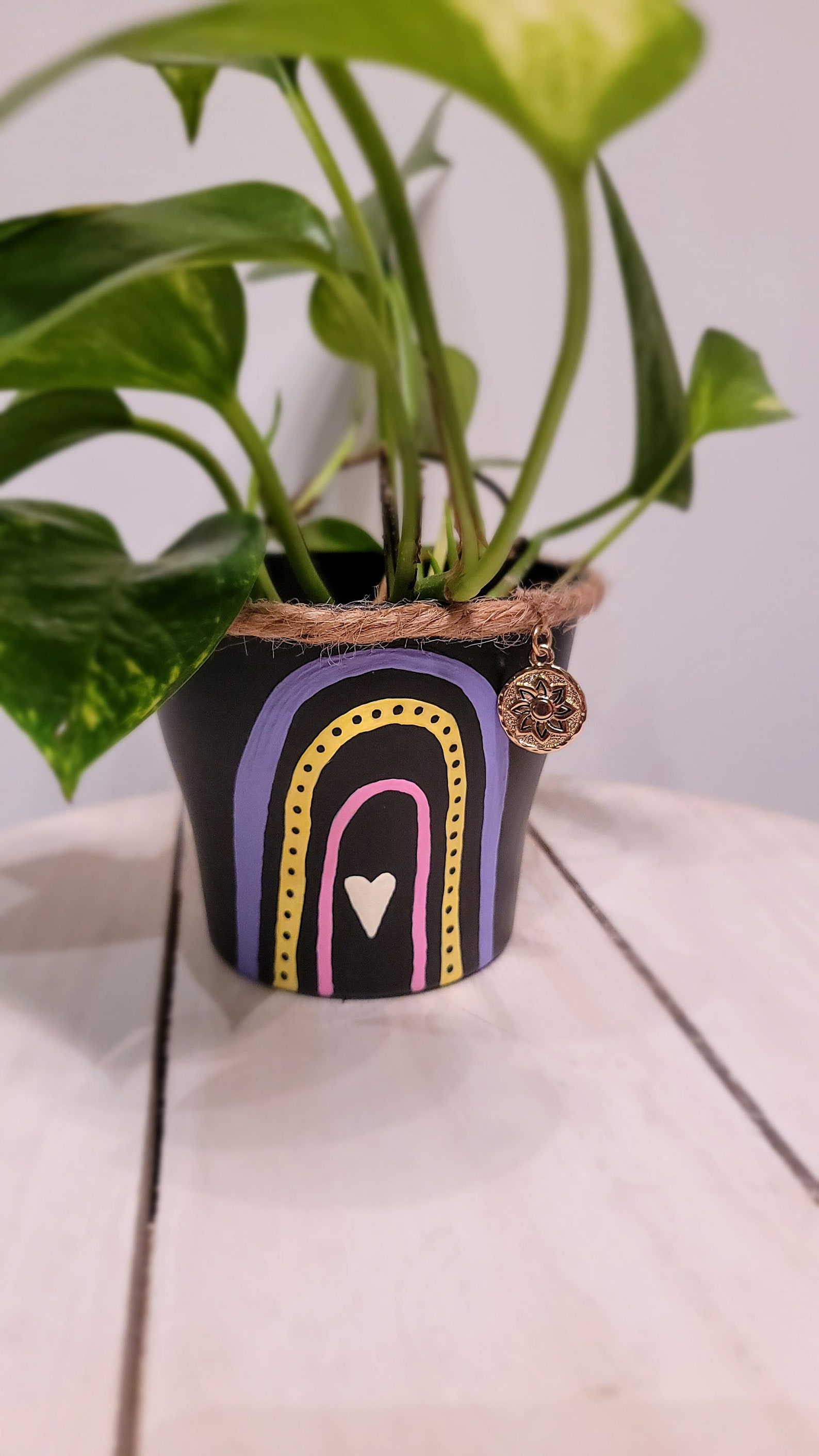 Cute Plant Pot Rainbow Planter Modern Rainbow Flower Pot - Etsy