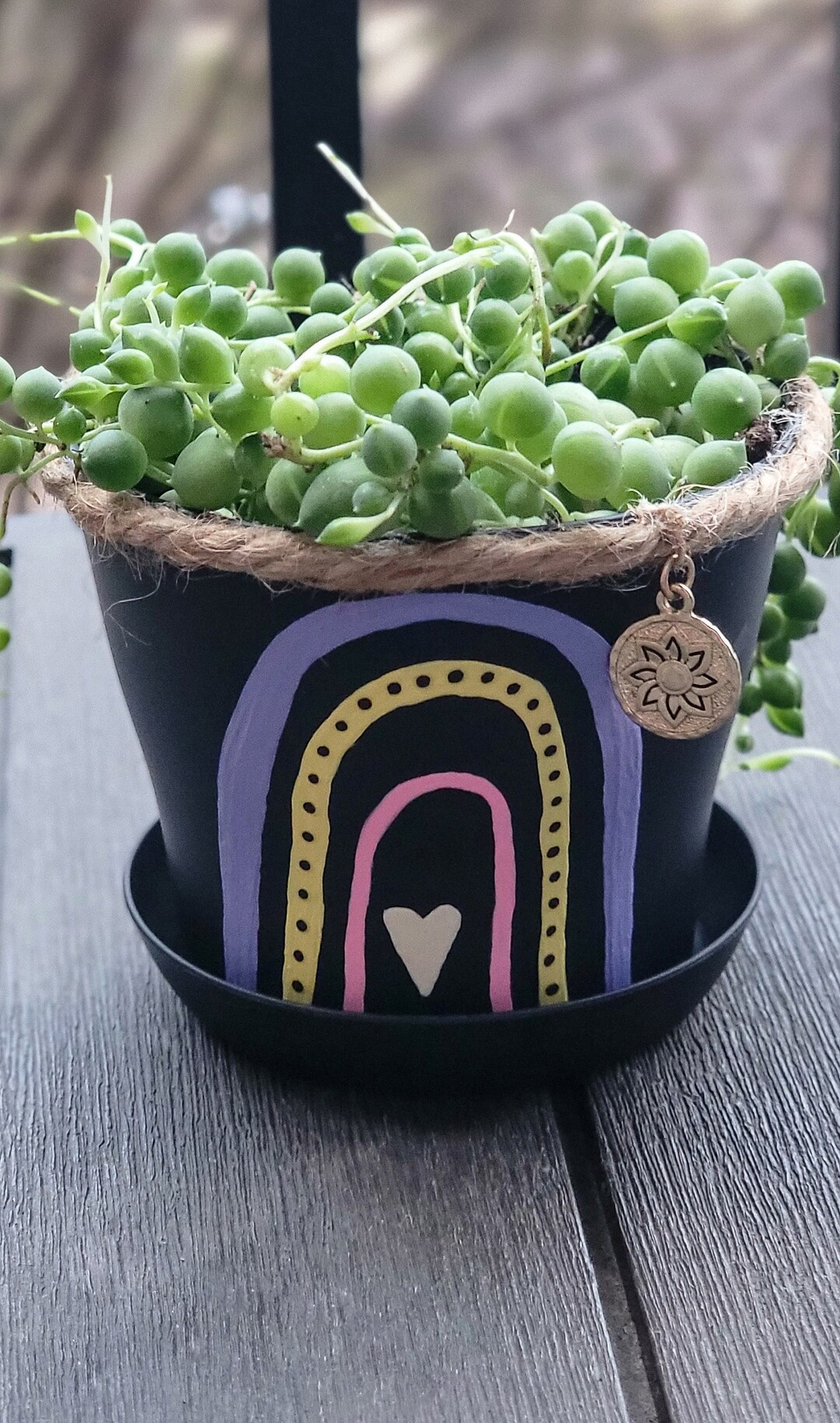 Cute Plant Pot, Rainbow Planter, Modern Rainbow Flower Pot, Planter ...