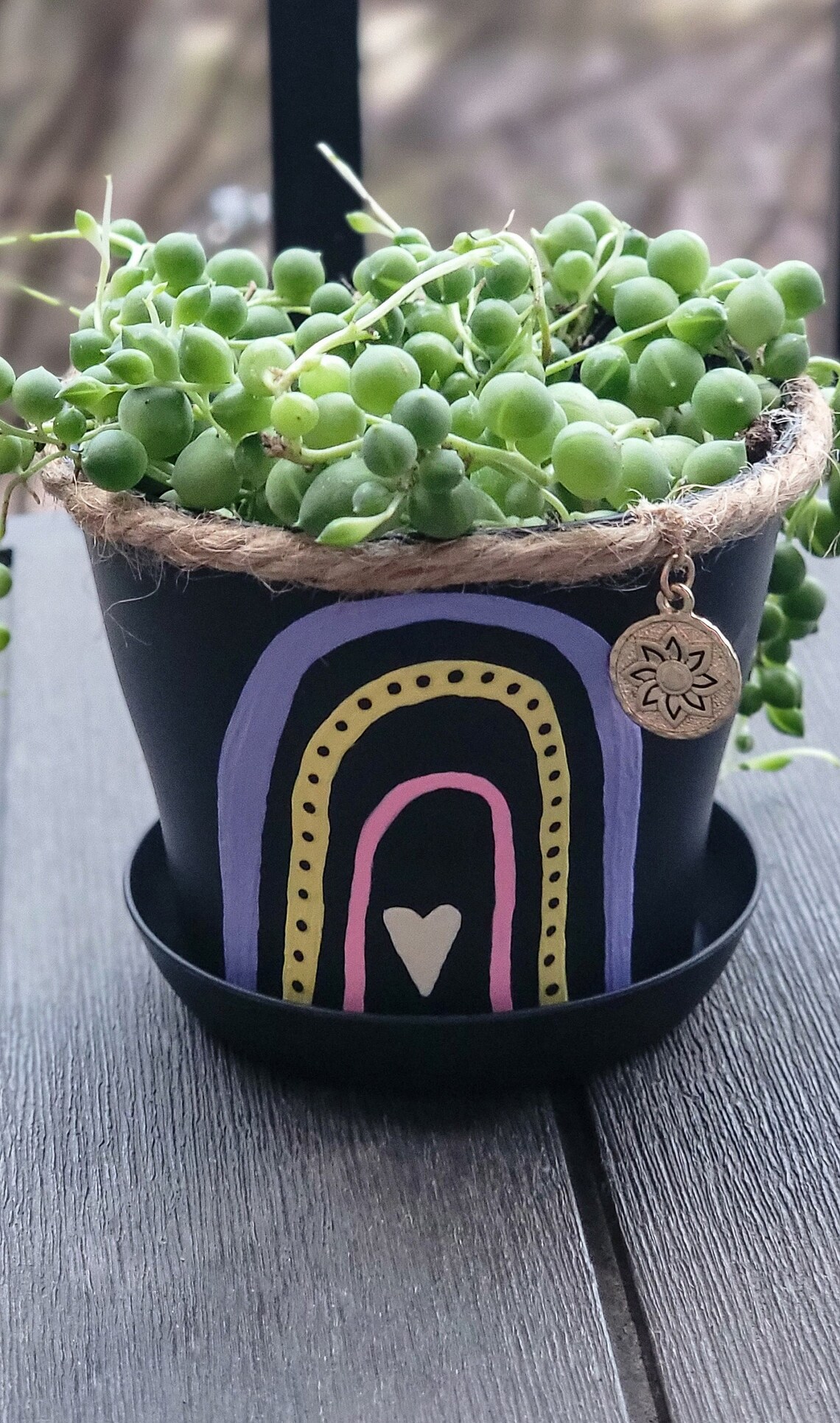 Cute Plant Pot Rainbow Planter Modern Rainbow Flower Pot - Etsy