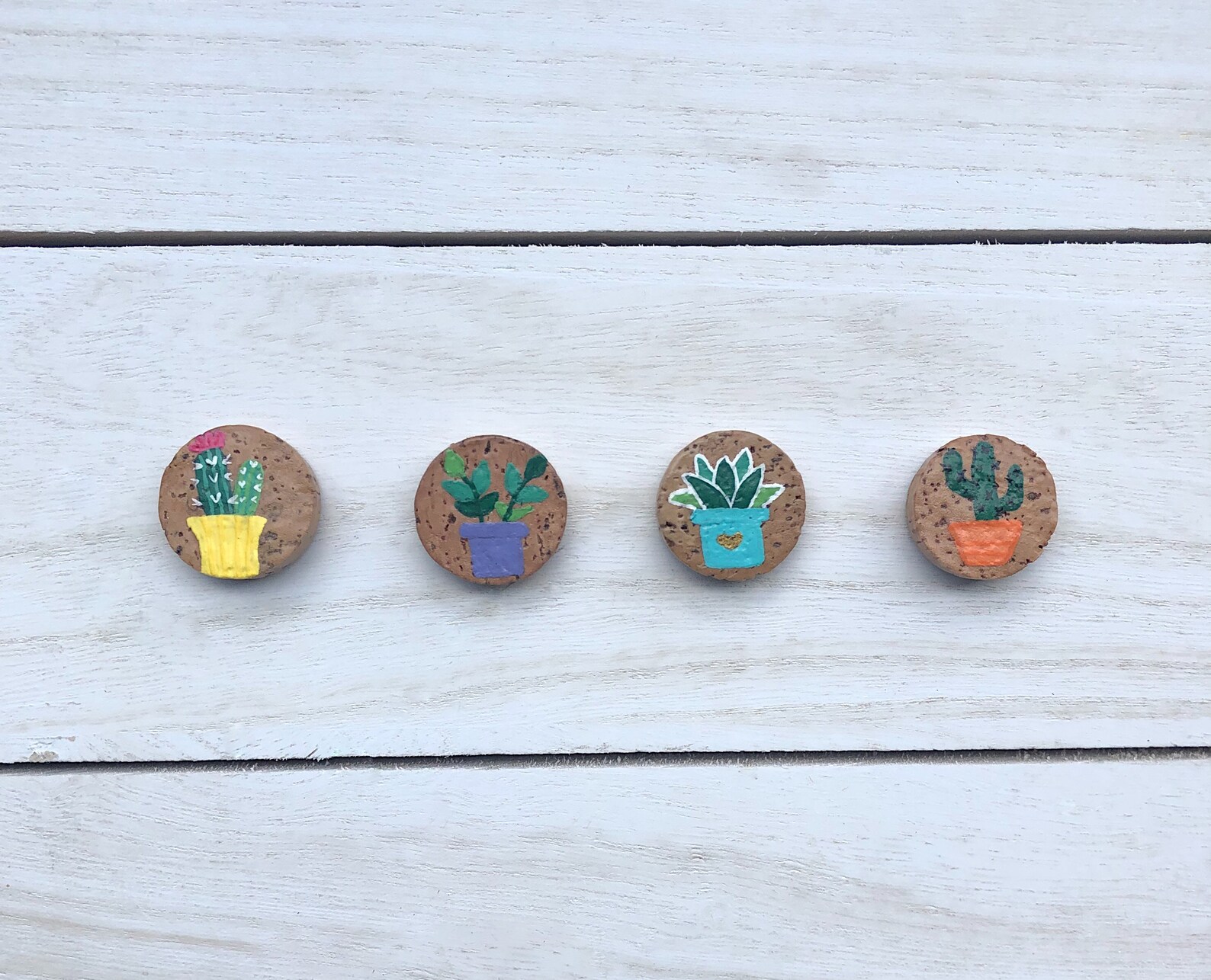 Succulent Magnets Set of 4 Plant Magnets Refrigerator | Etsy