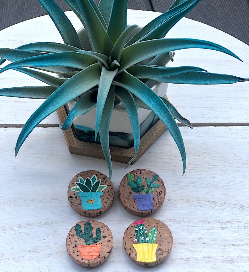 Succulent Magnets Set of 4 Plant Magnets Refrigerator | Etsy