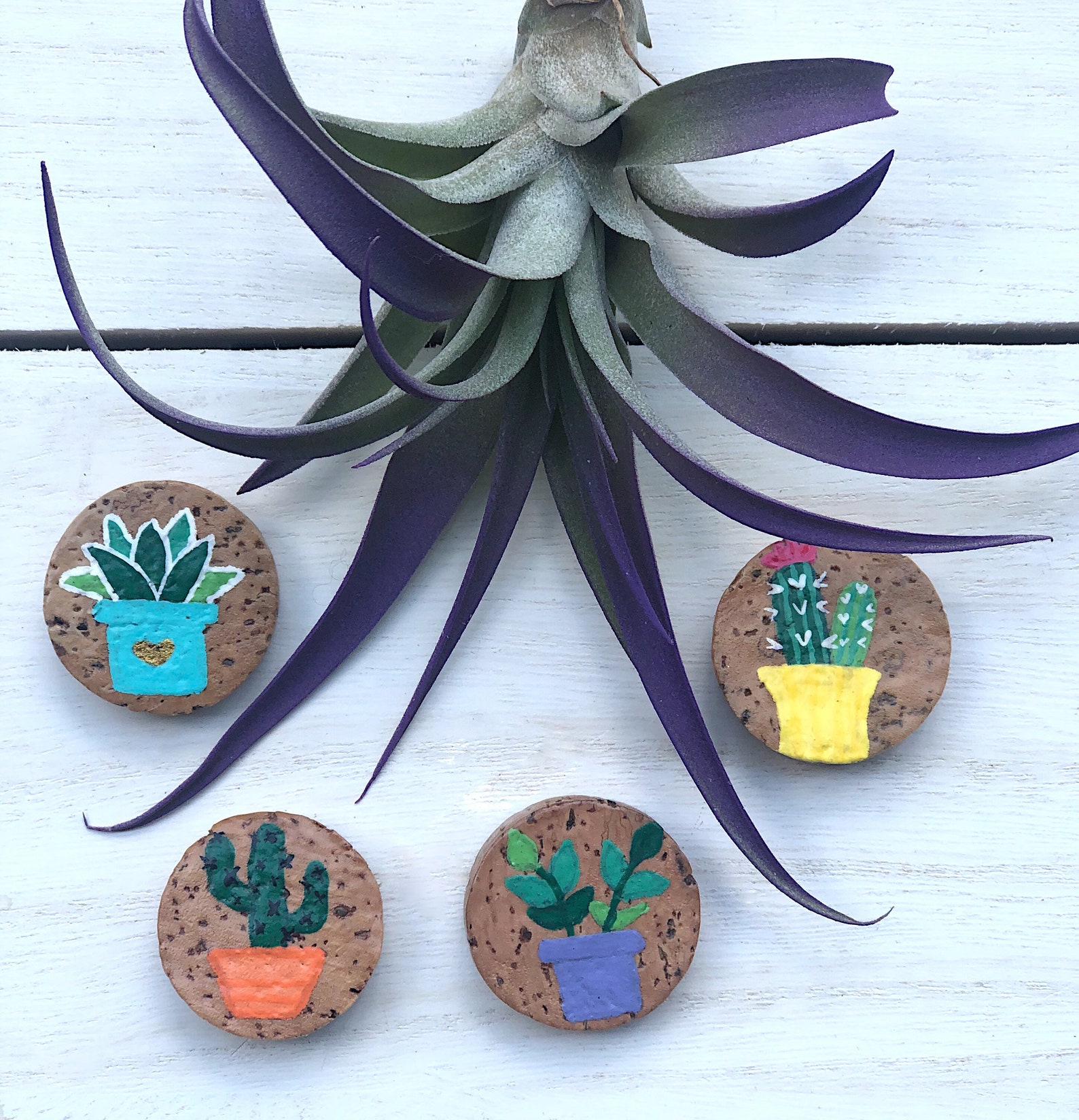 Succulent Magnets Set of 4 Plant Magnets Refrigerator | Etsy