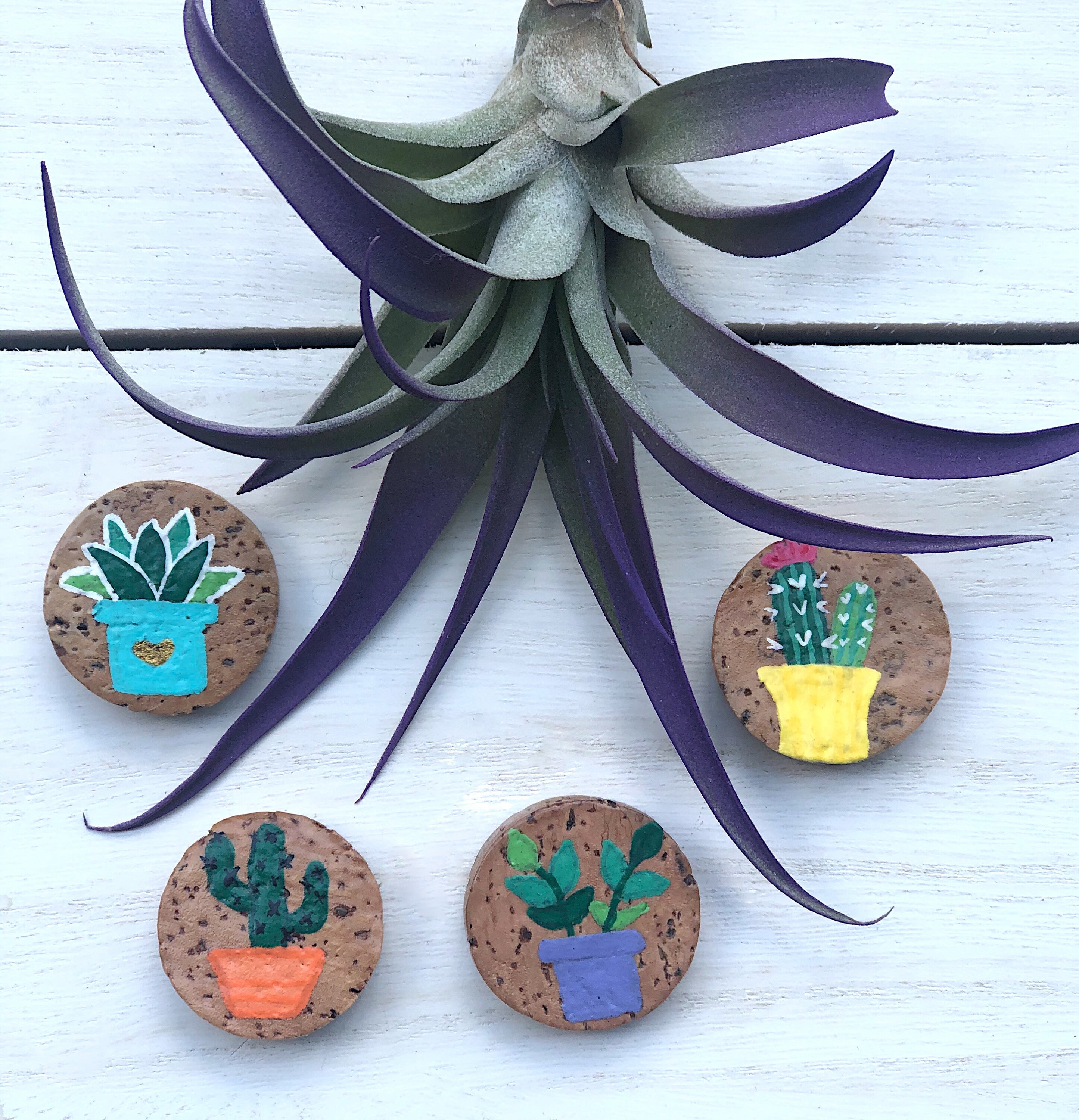 Succulent Magnets Set of 4 Plant Magnets Refrigerator | Etsy