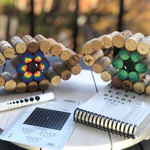 Wine Cork Eye, Desktop Art, Ophthalmic Tech Gift, Wine Lover Gift, Wine ...