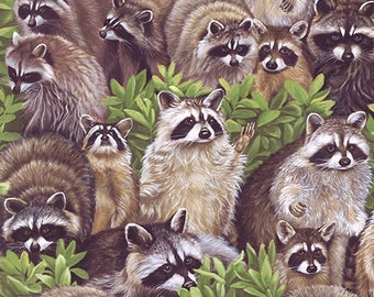 Raccoon Fabric | Etsy