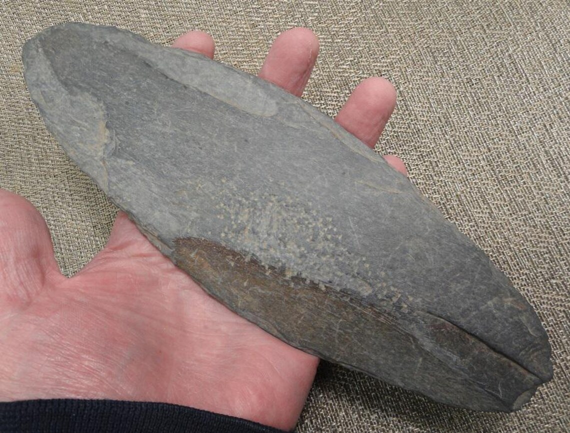 Nice Authentic Arrowhead Huge Slate Gorget Preform Found in Ohio ...