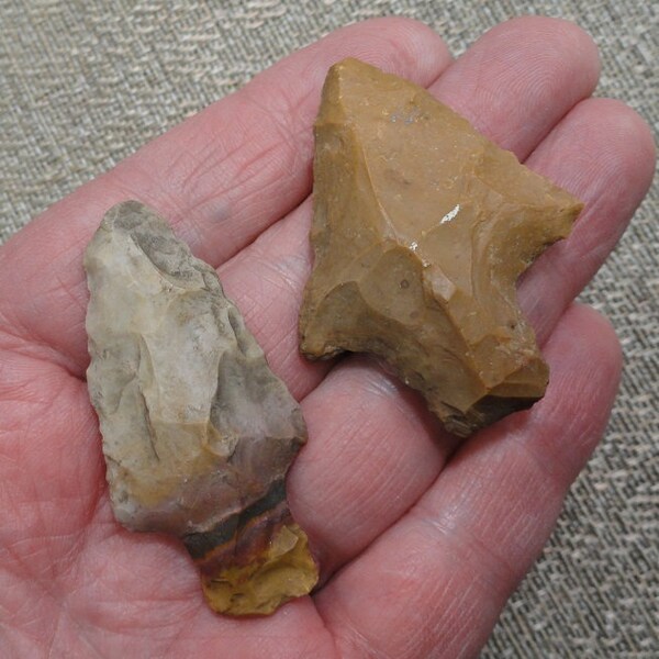 Indian Arrowhead - Etsy