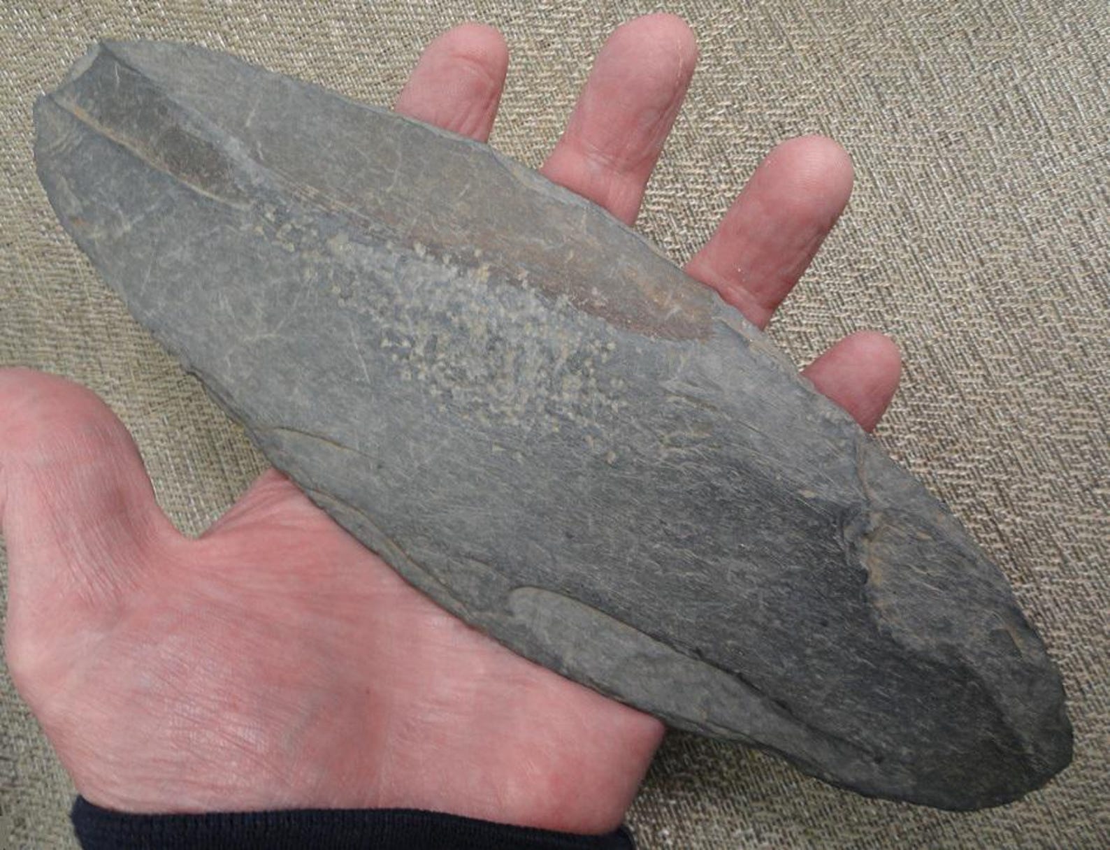 Nice Authentic Arrowhead Huge Slate Gorget Preform Found in Ohio ...