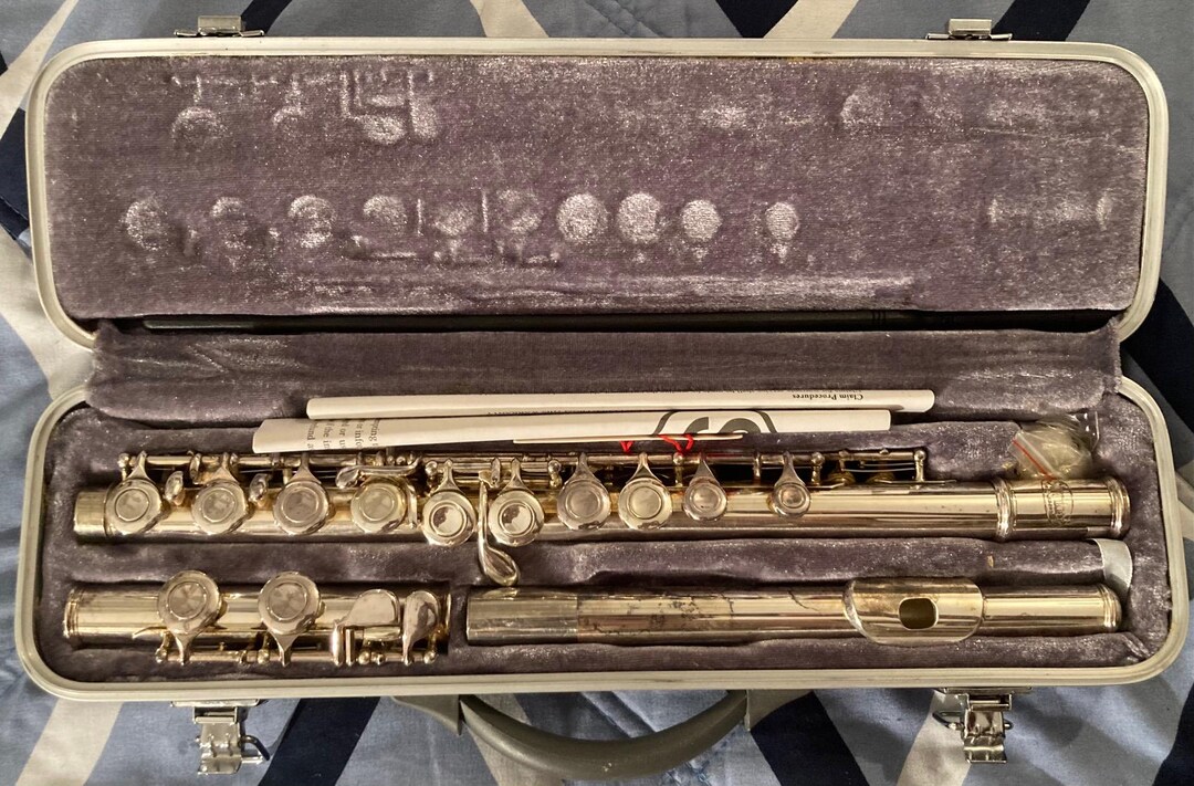 Vintage Musical Instrument, Simba, Flute, in Hard Case, Music, Notes ...