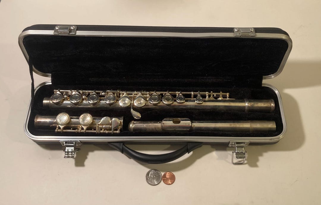 Vintage Musical Instrument, Silver Platted Flute, Flute, in Hard Case ...