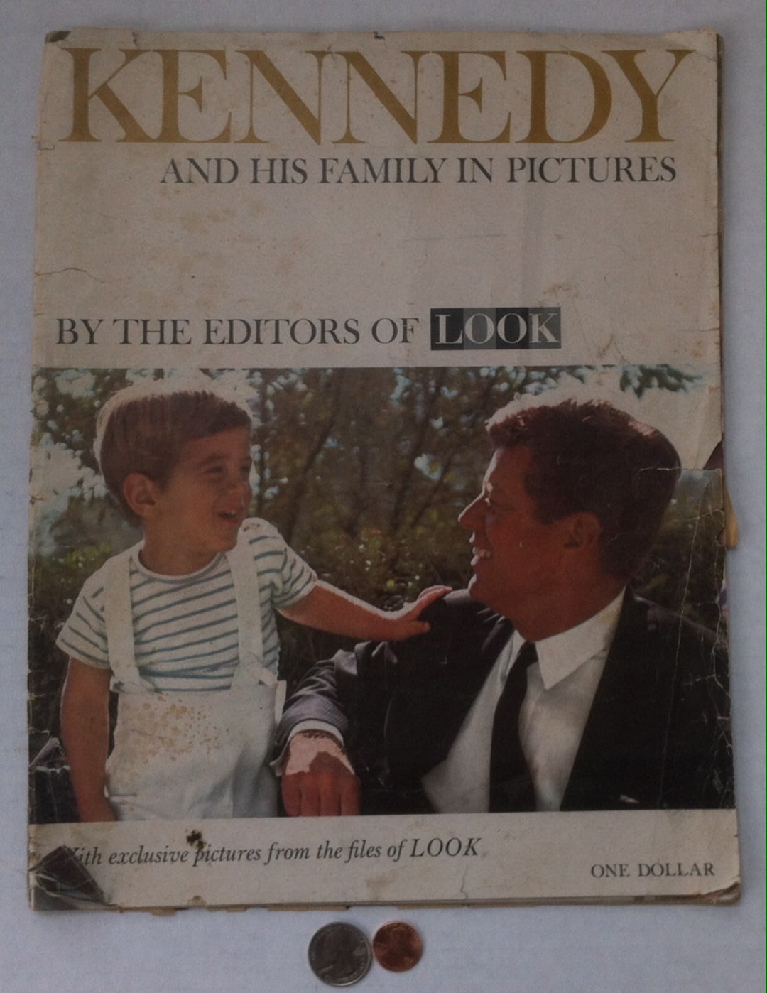 Vintage 1963 Kennedy and His Family in Pictures, by the Editors of Look ...