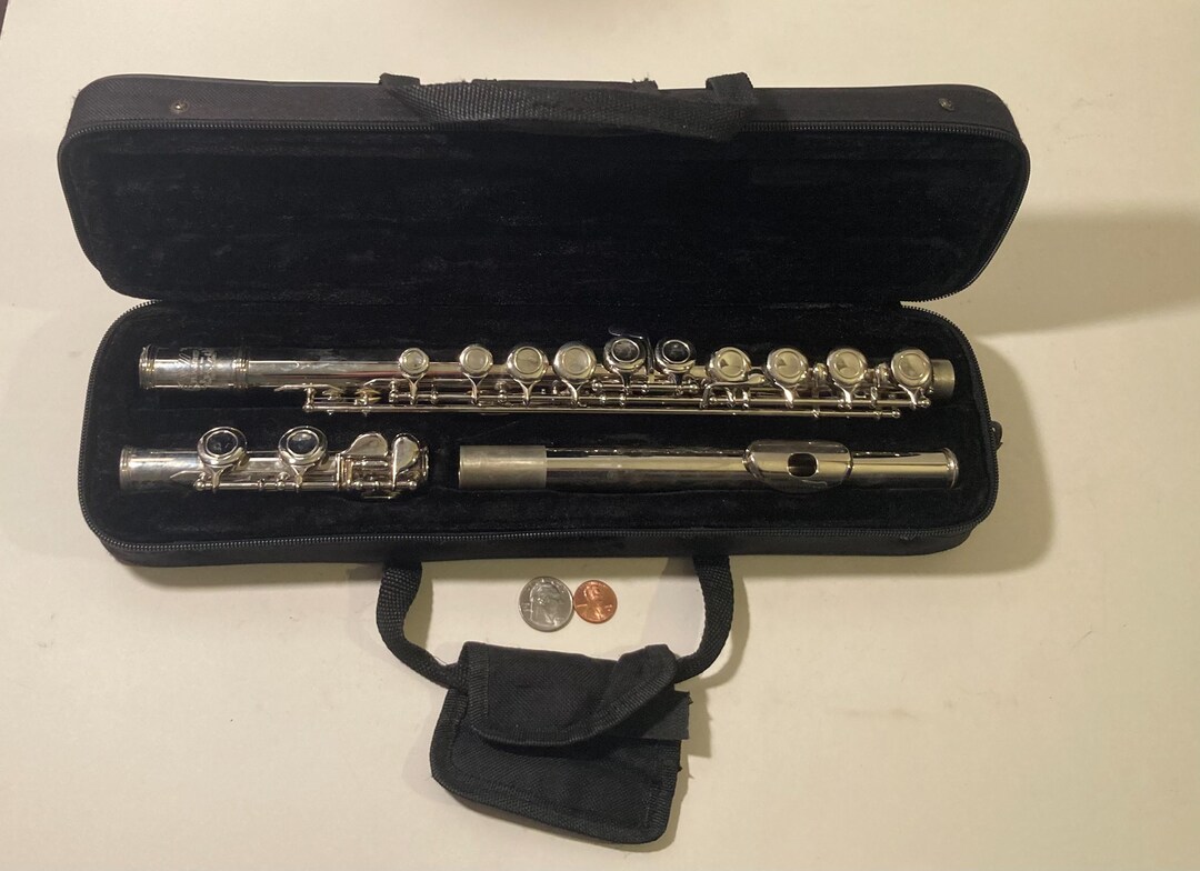 Vintage Musical Instrument, Silver Platted Flute, Flute, in Hard Case ...