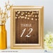 Printable Rustic Party Lights Table Number Name Card - Etsy