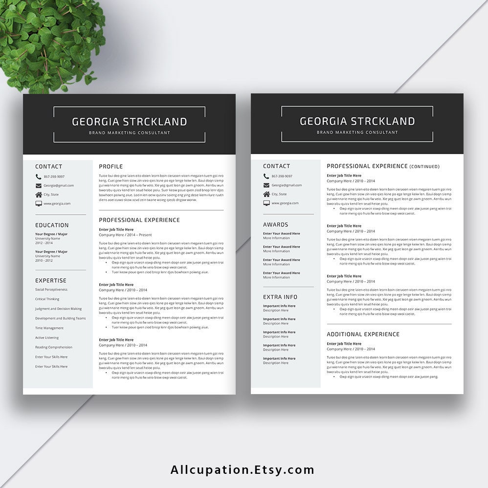 Professional Resume Template / CV Template for Job - Etsy