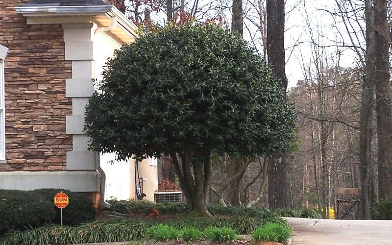 Nellie R. Stevens - Etsy