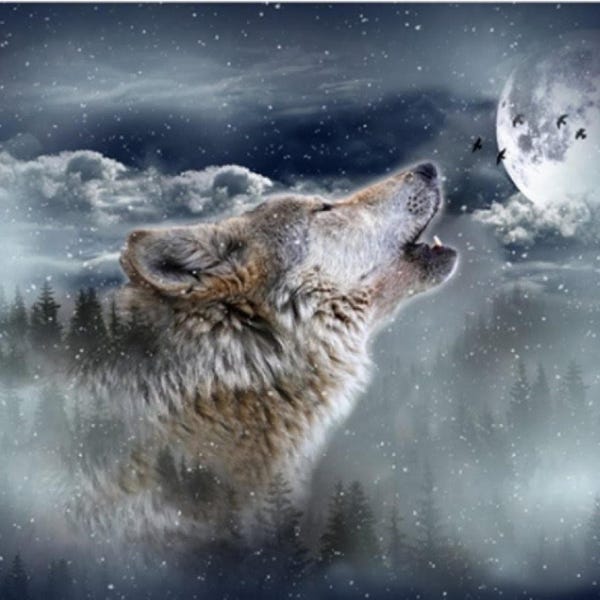 Wolf Fabric Panel - Etsy