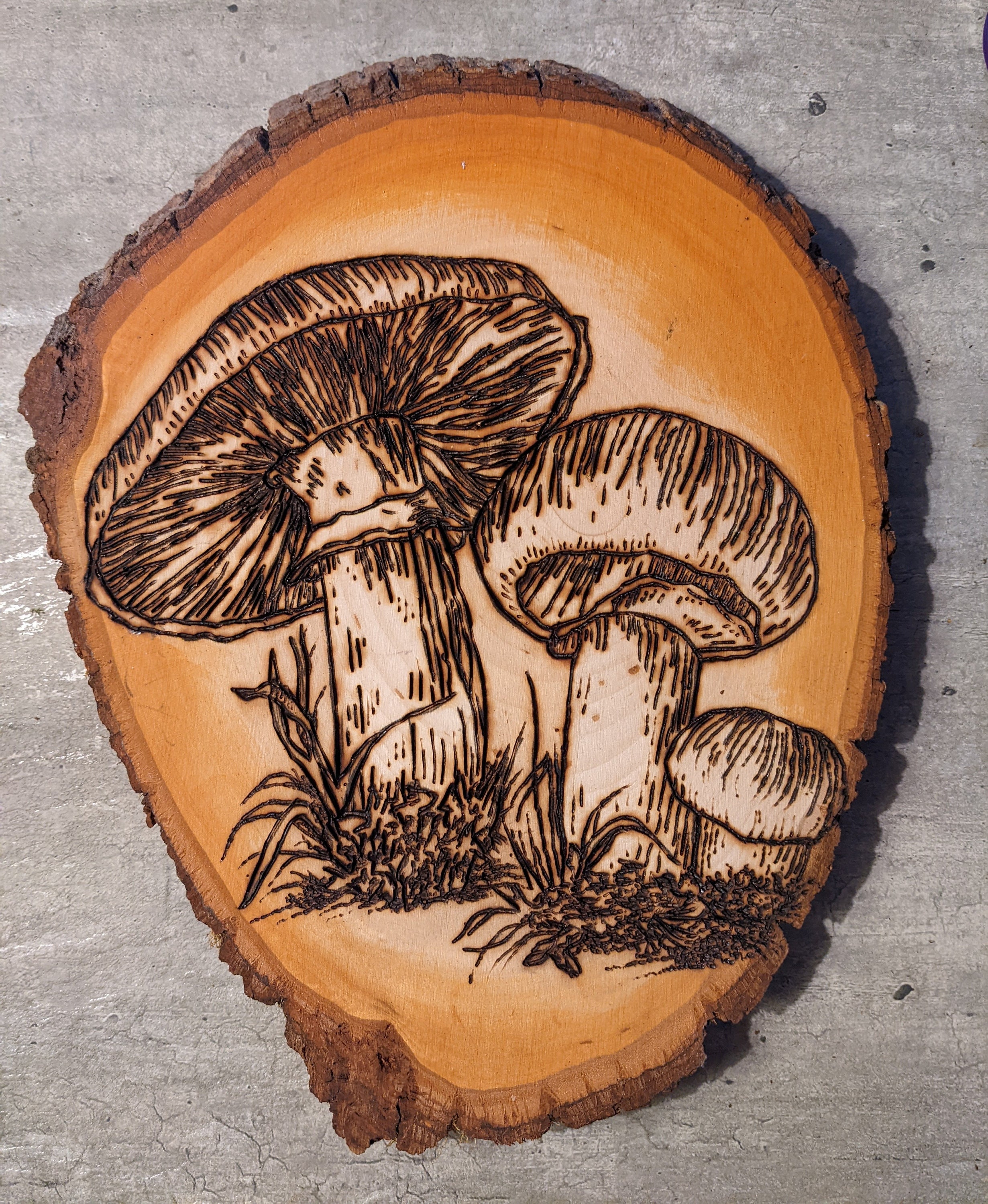 Mushroom Wood Burning - Etsy