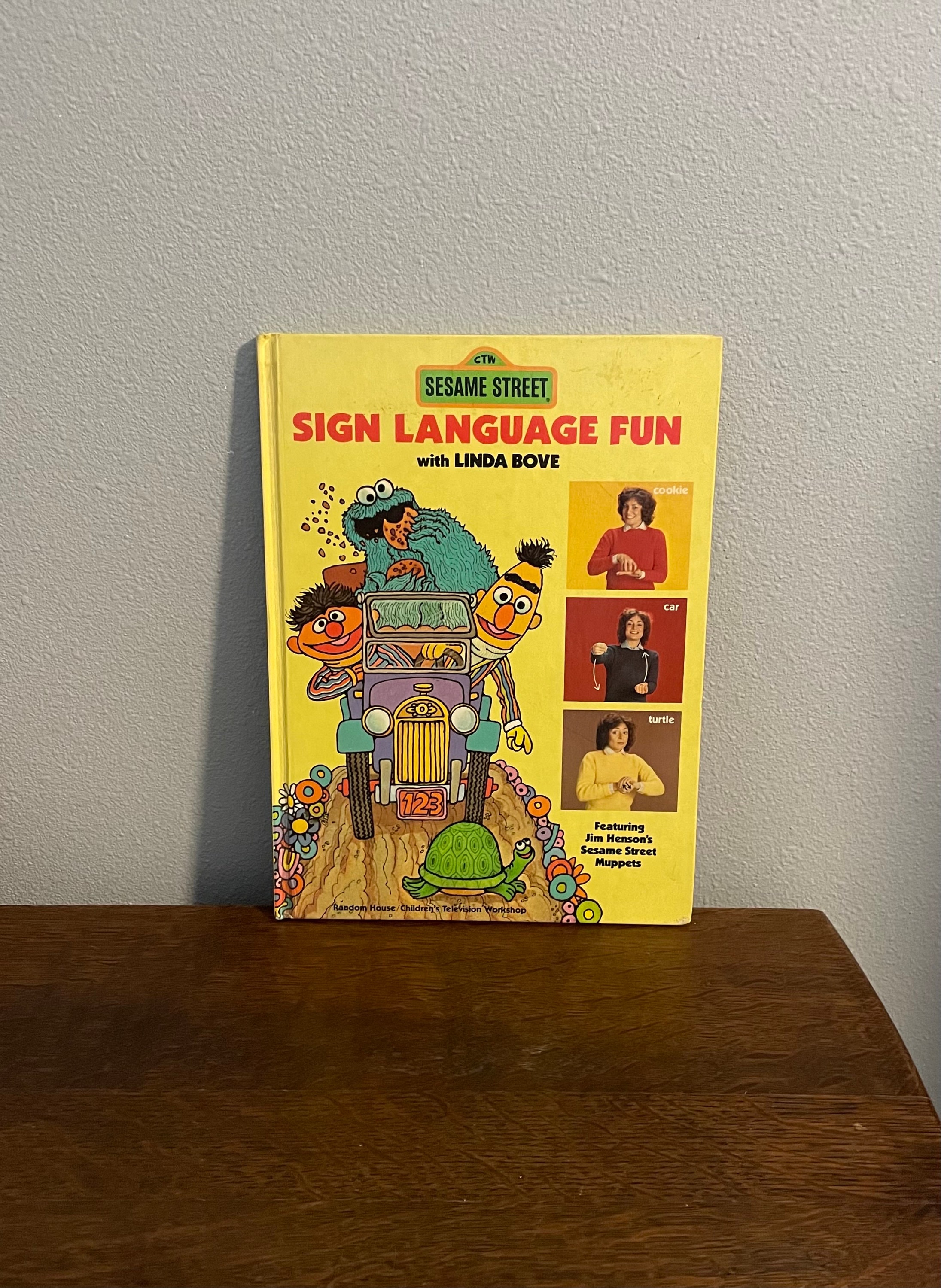 Sesame Street Linda Bove