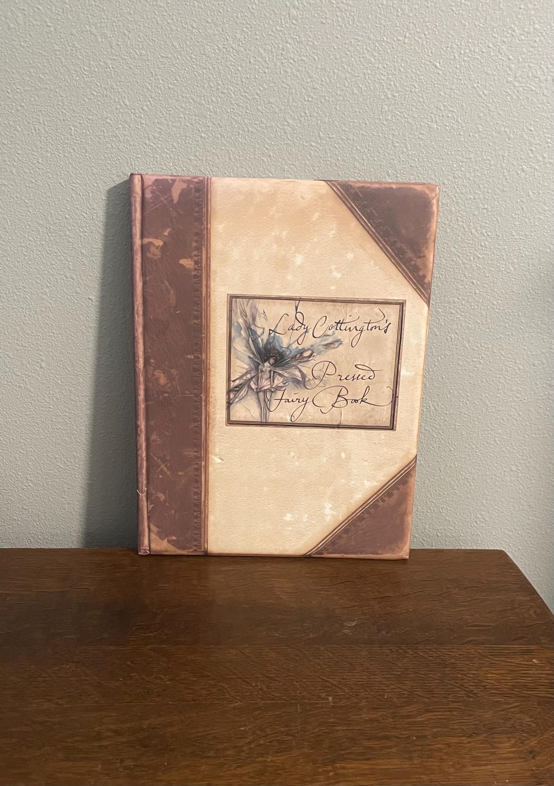 1998 Barnes and Noble Edition of Lady Cottington’s Pressed Fairy Book ...