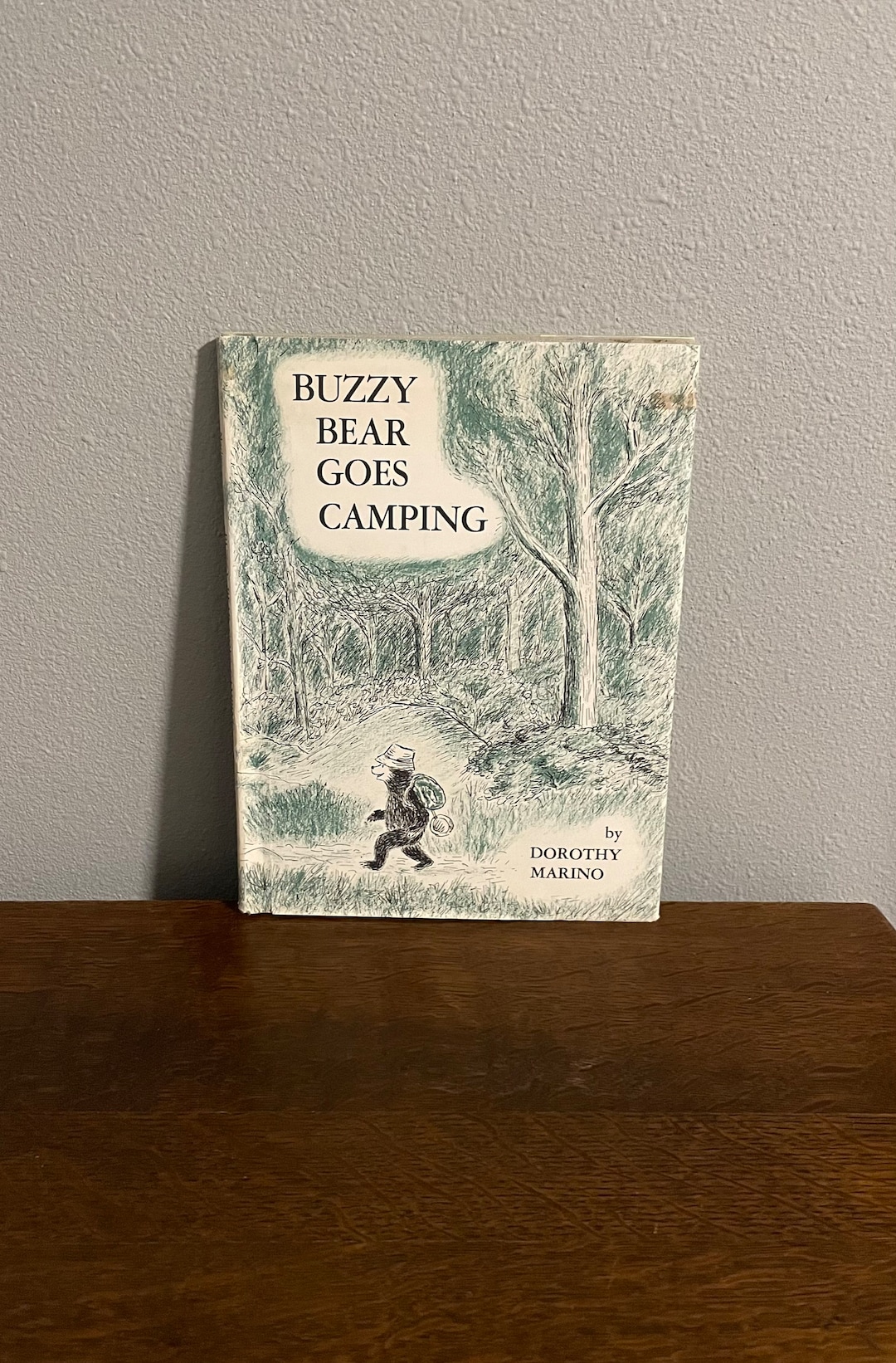 1964 First Book Club Edition of Buzzy Bear Goes Camping by Dorothy ...