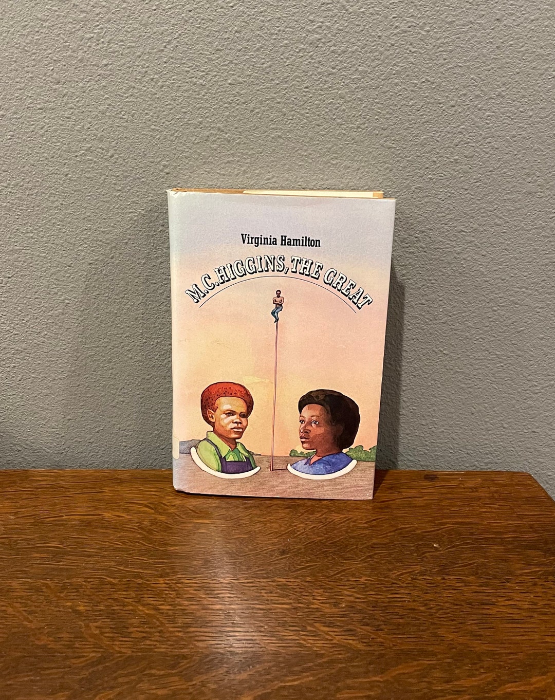 1974 First Edition, First Printing of M.C. Higgins, the Great by ...