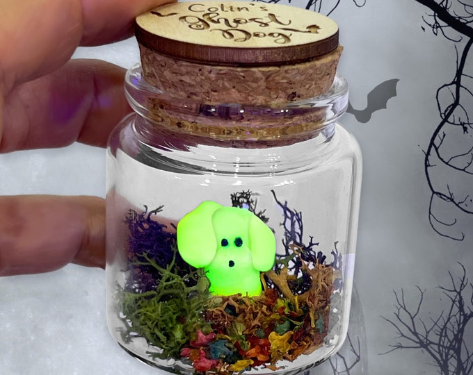 Pet Ghost Funny Novelty Gift Ideas Ideal for Birthday Presents, Wedding ...