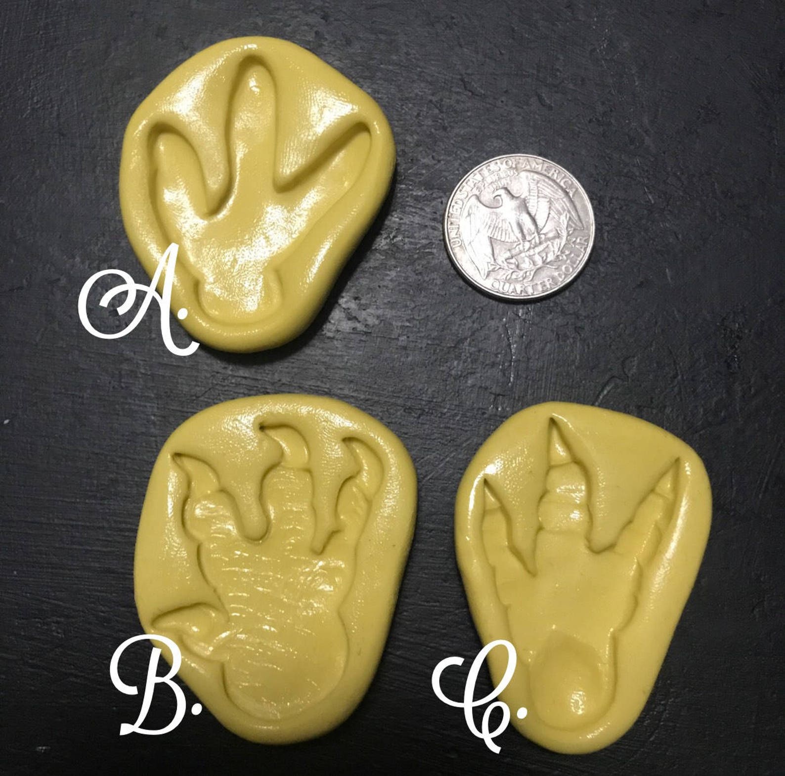 Dinosaur Feet Mold - Etsy