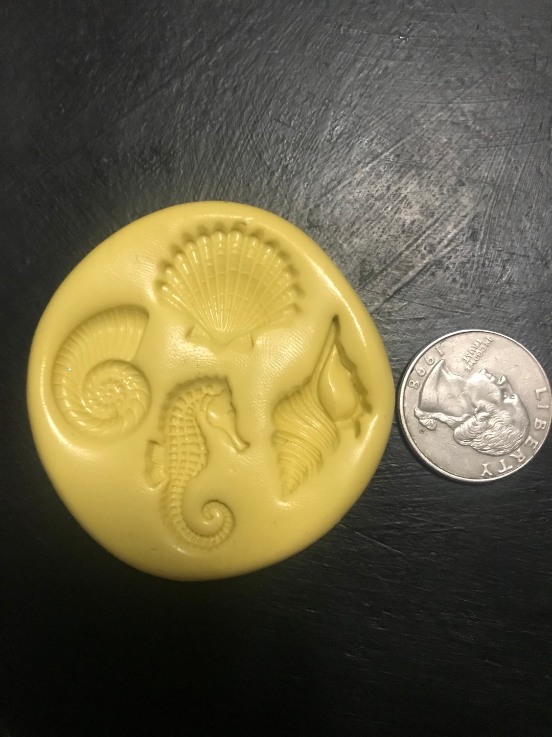 Sea Shell Molds - Etsy