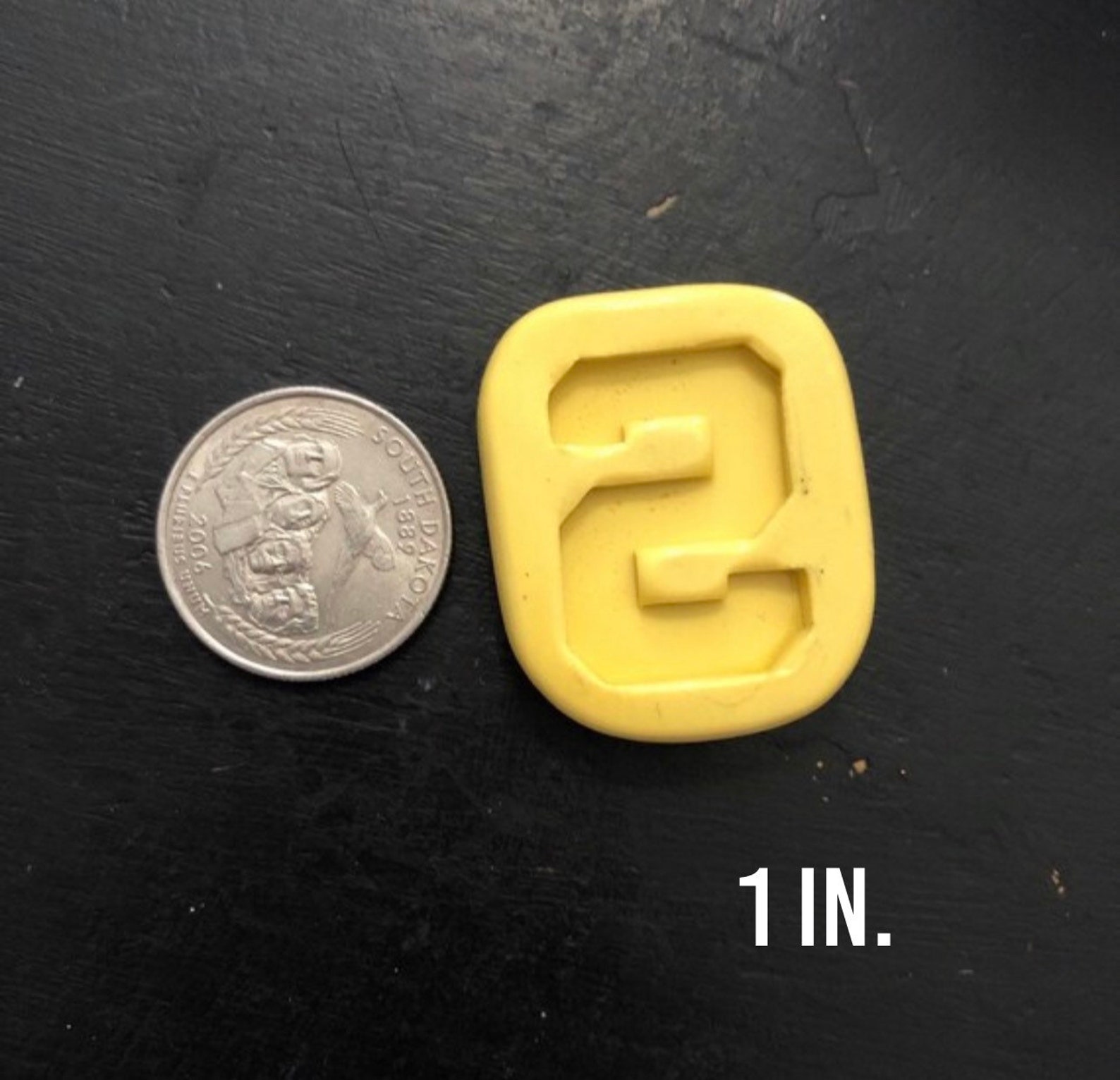 Michigan University State Mold - Etsy