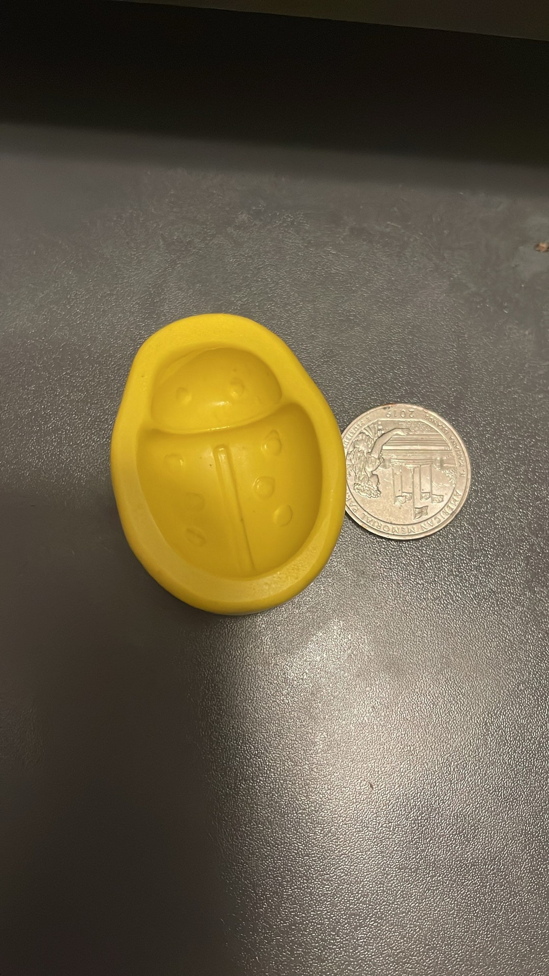 Lady Bug Mold - Etsy