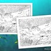 Two Under-the-sea Coloring Pages Hand Drawn Doodles Boy Swimming Whale ...