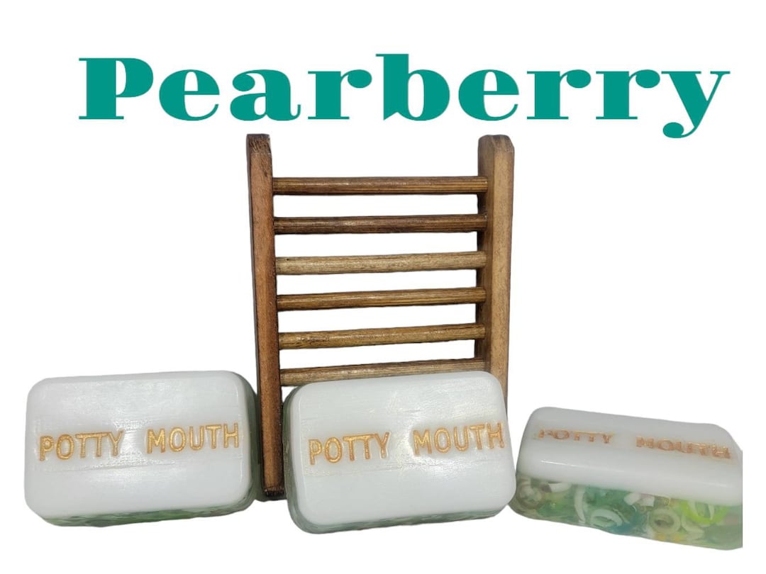 Potty Mouth Soap Set: Novelty Gag Gift Soaps - Etsy