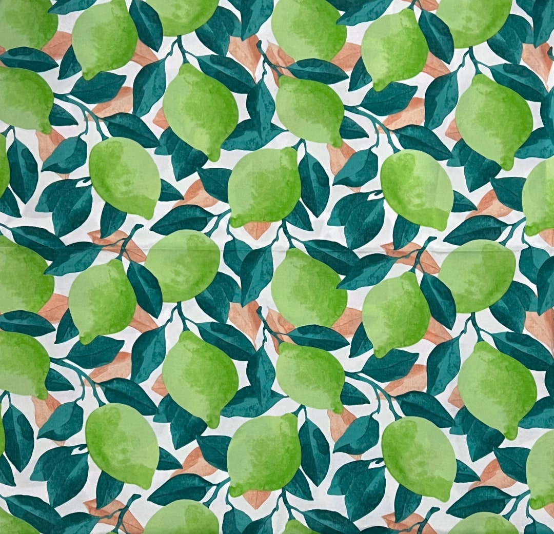 Citrus in Lime Outdoor Decorative Throw Pillow Cover - Etsy